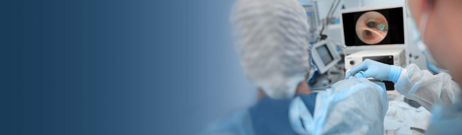 Pulmonary Endoscopic Imaging Cameras | Fujifilm Healthcare