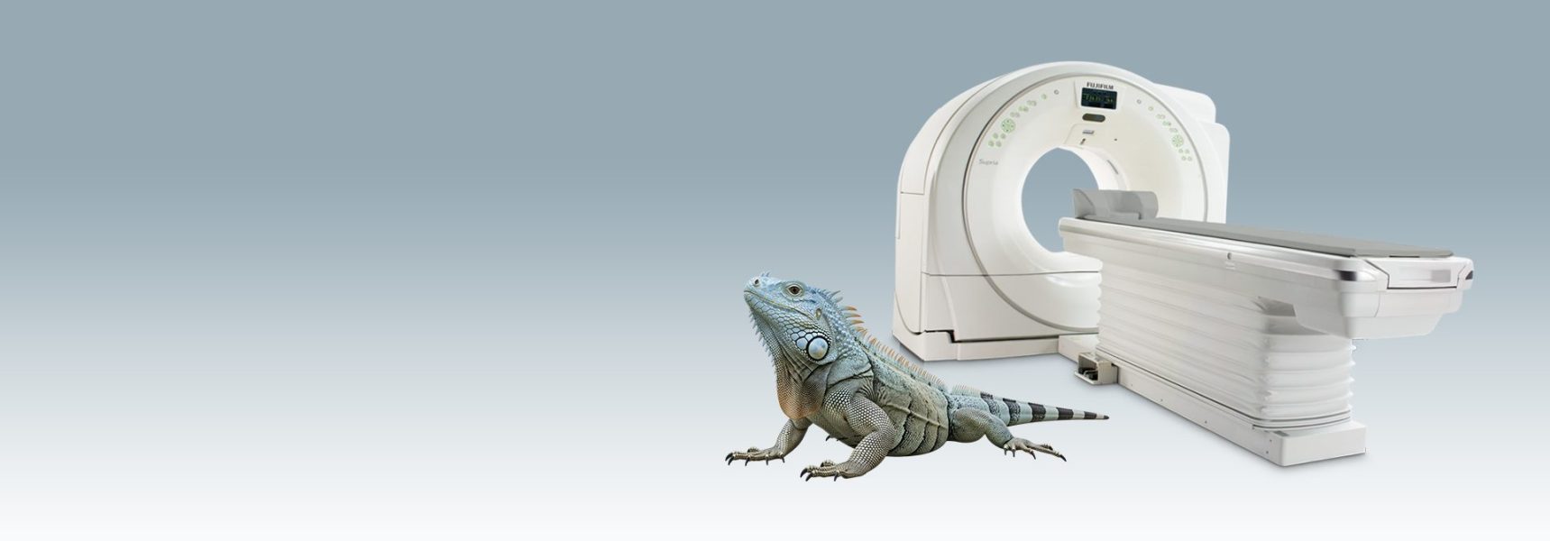 Supria Plus VET - FUJIFILM Healthcare Americas Corporation